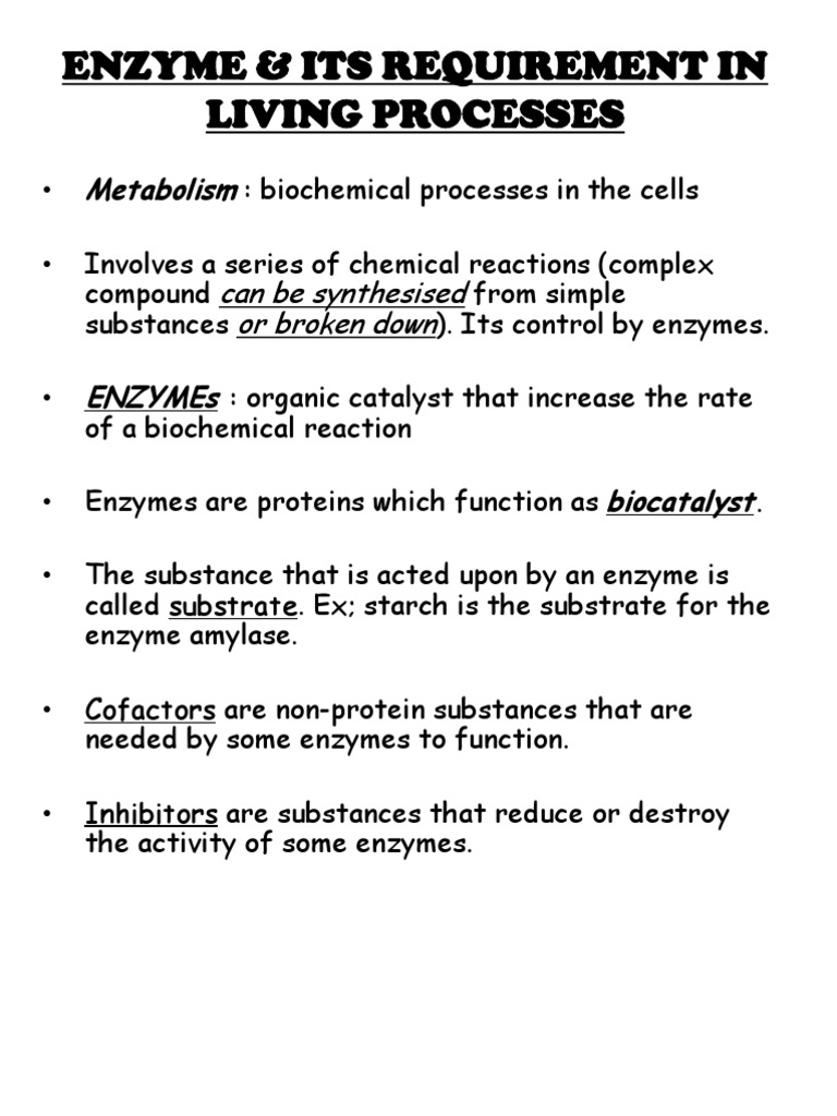 Form 4 Chapter 4 Bio Notes | PDF | Secretion | Enzyme
