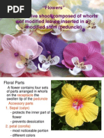 Flower | PDF | Plant Reproduction | Flowers