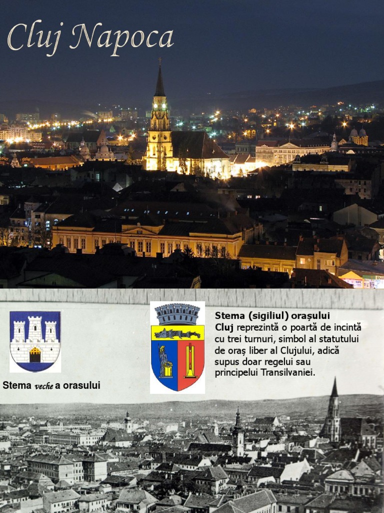 Cluj Napoca | PDF