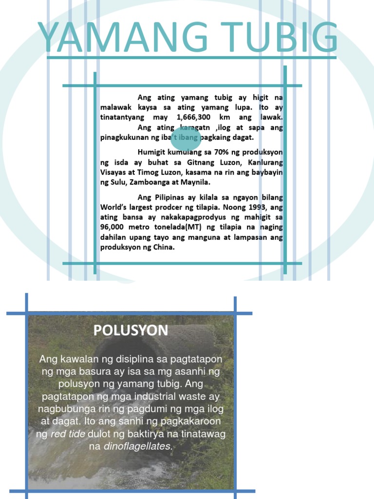 Presentasyon Tungkol Sa Yamang Tubig | PDF