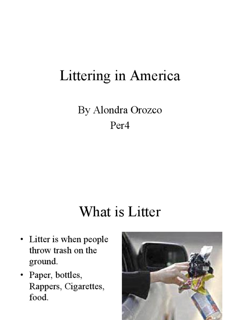 Understanding Littering in America | PDF