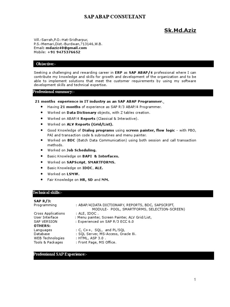 Sap Abap Consultant | PDF | Invoice | Sap Se