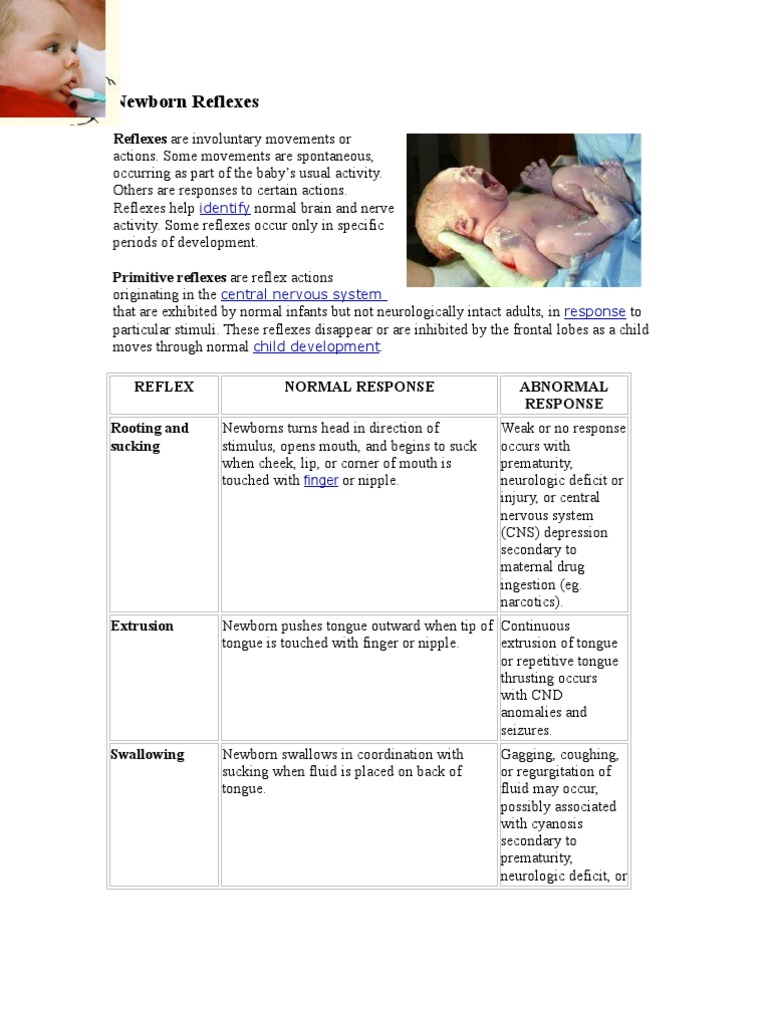 Newborn Reflexes | Anatomical Terms Of Motion | Nervous System