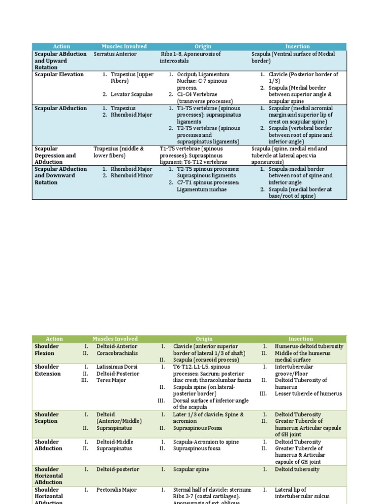 Manual Muscle Testing. Muscles Involved With Shoulder Ranges of Motion ...