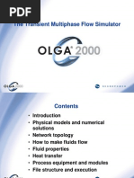 OLGA Sample Cases | PDF | Pump | Fluid Dynamics