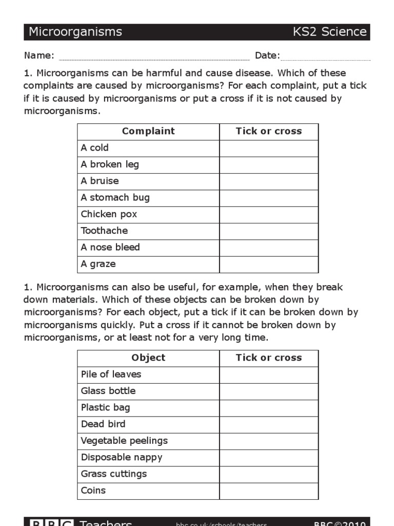 BBC Teachers Ks2 Science Worksheet Microorganisms | PDF