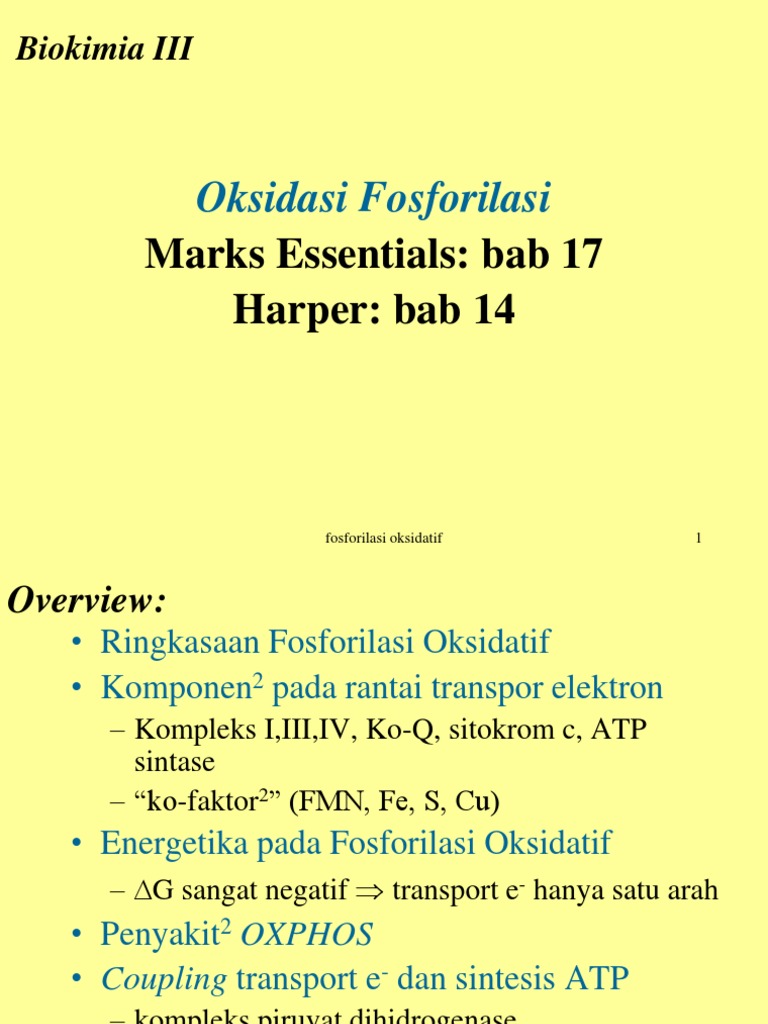 Fosforilasi Oksidatif | PDF