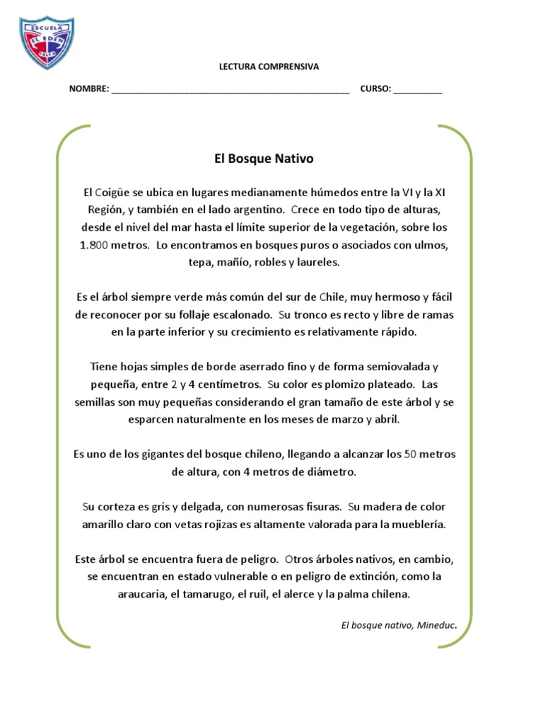 Lectura Comprensiva 14.11.2012 | PDF | Arboles | Los bosques