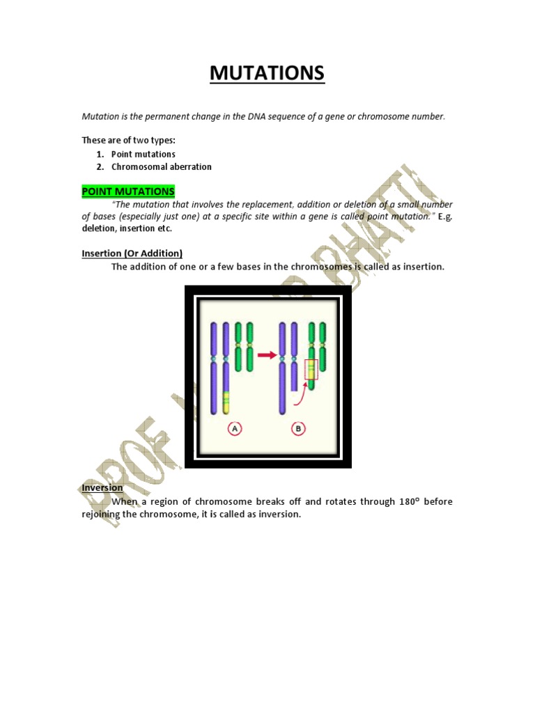 Mutations Mutations | PDF | Chromosome | Ploidy