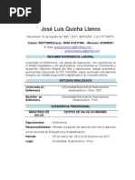 Formato de Curriculum Vitae | PDF | Hospital | Madrid
