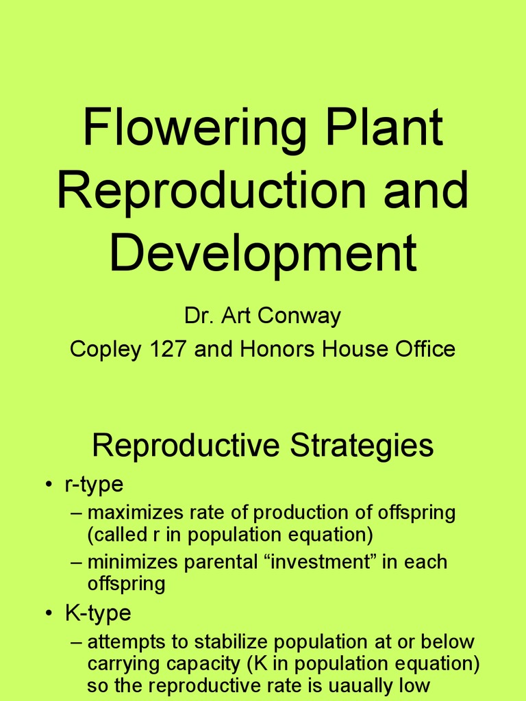 Flowering Plant Reproduction Explained | PDF | Root | Seed
