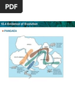 Biology Grade 12 Unit 4 Evolution 01 | PDF | Evolution | Life
