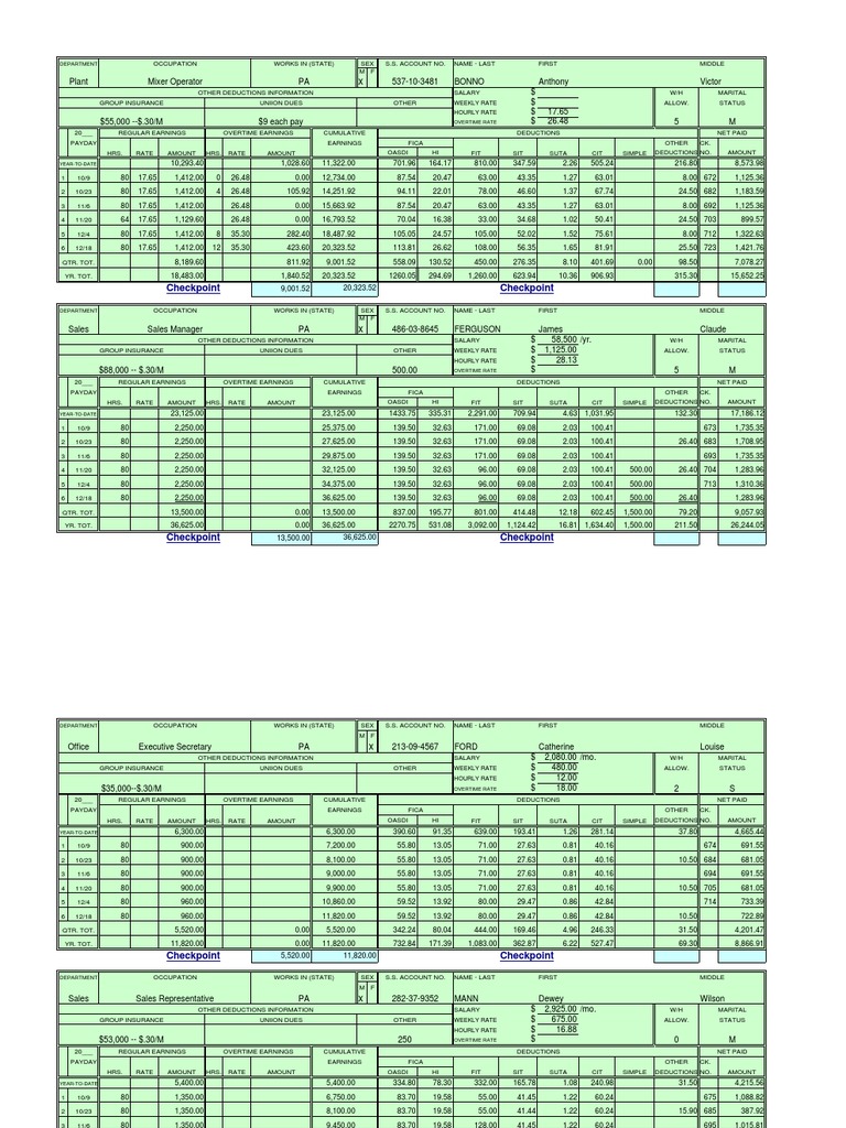 88300756-51830341-Payroll-Project | Payroll Tax | Debits And Credits