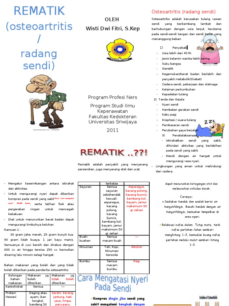 Leaflet REMATIK (Osteoartrts) 2 | PDF