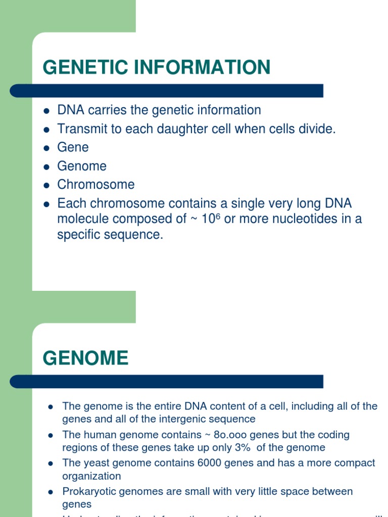 Transfer of Genetic Information | PDF | Gene | Dna