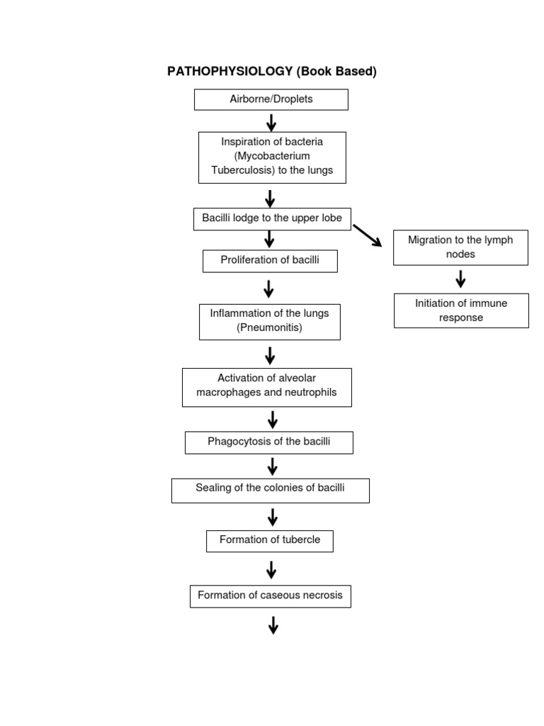 Pathophysiology of PTB (Myrc) | PDF