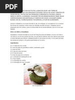 El Oráculo Del Coco | PDF | Religión y creencia