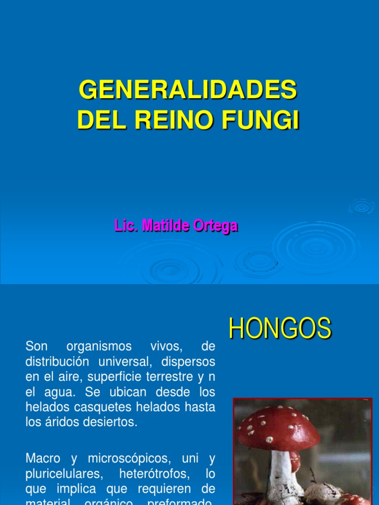 Generalidades Del Reino Fungi | PDF | Espora | Hongo
