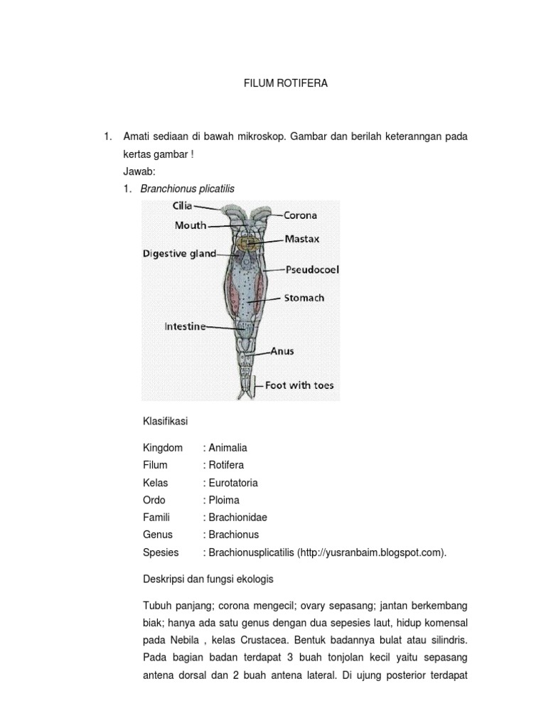 "Rotifera: Klasifikasi dan Ekologi" | PDF