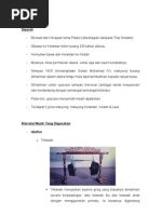 Alat Muzik Erofon | PDF