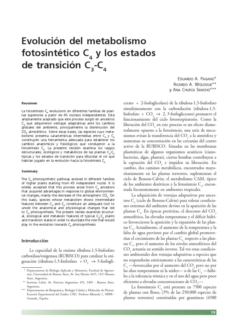Plantas c3 y c4 PDF | PDF | Plantas | Metabolismo