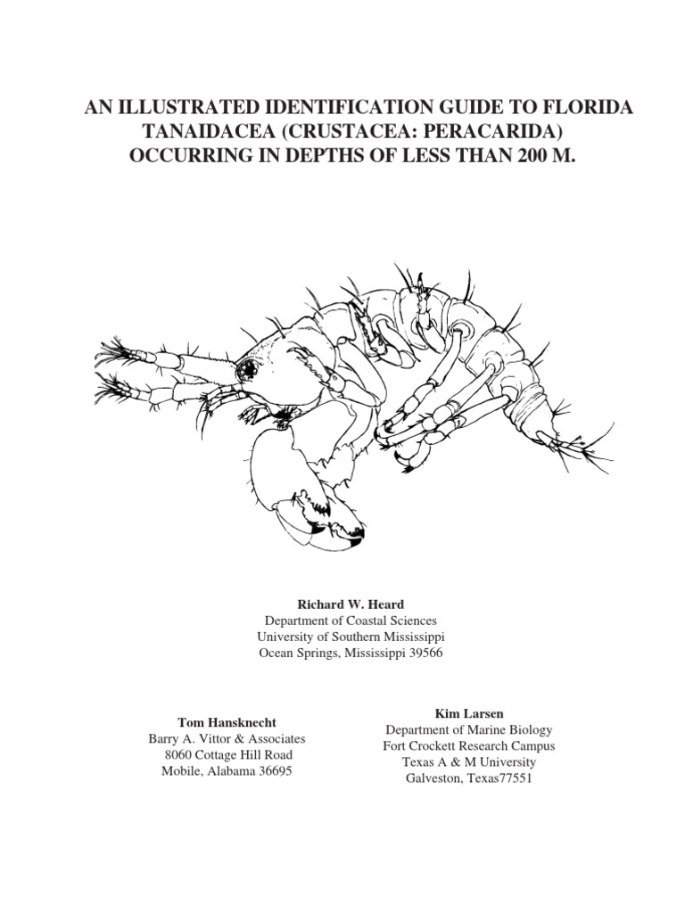 Tanaidacea | PDF | Arthropods | Nature