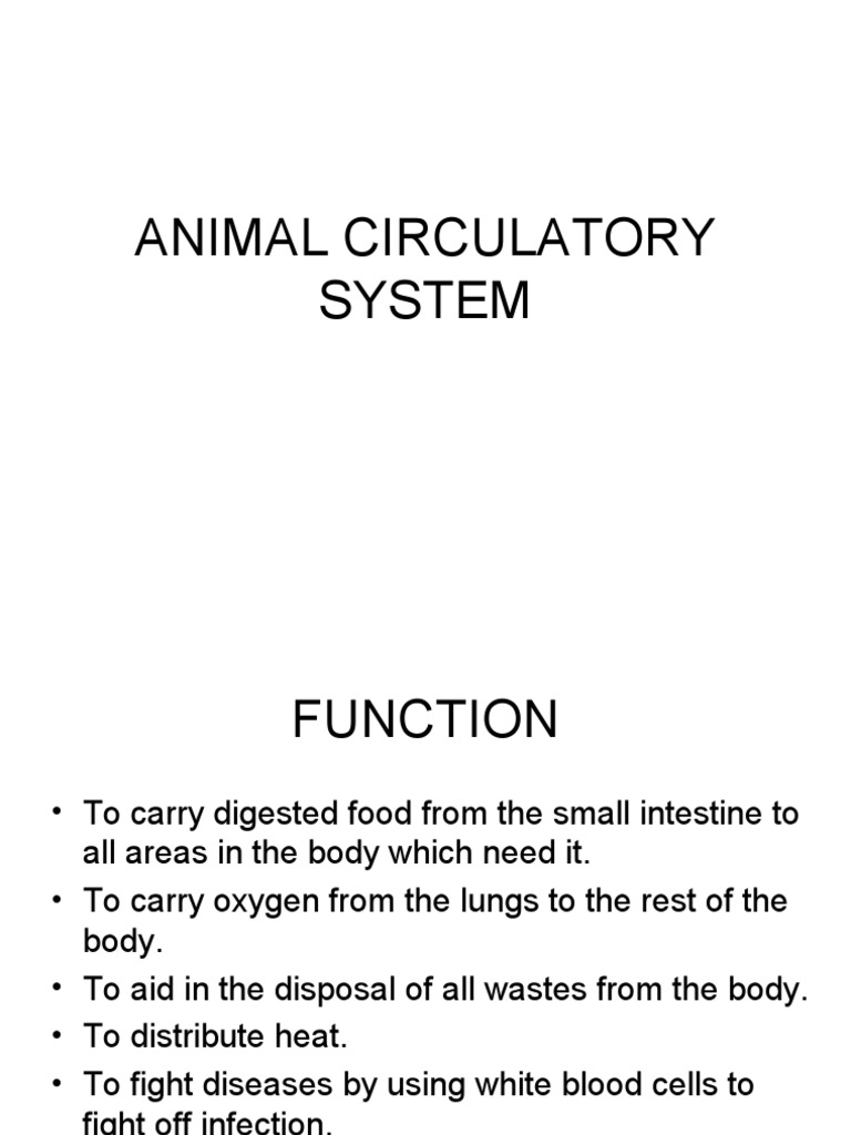 Animal Circulatory System Overview | PDF | Heart | Circulatory System