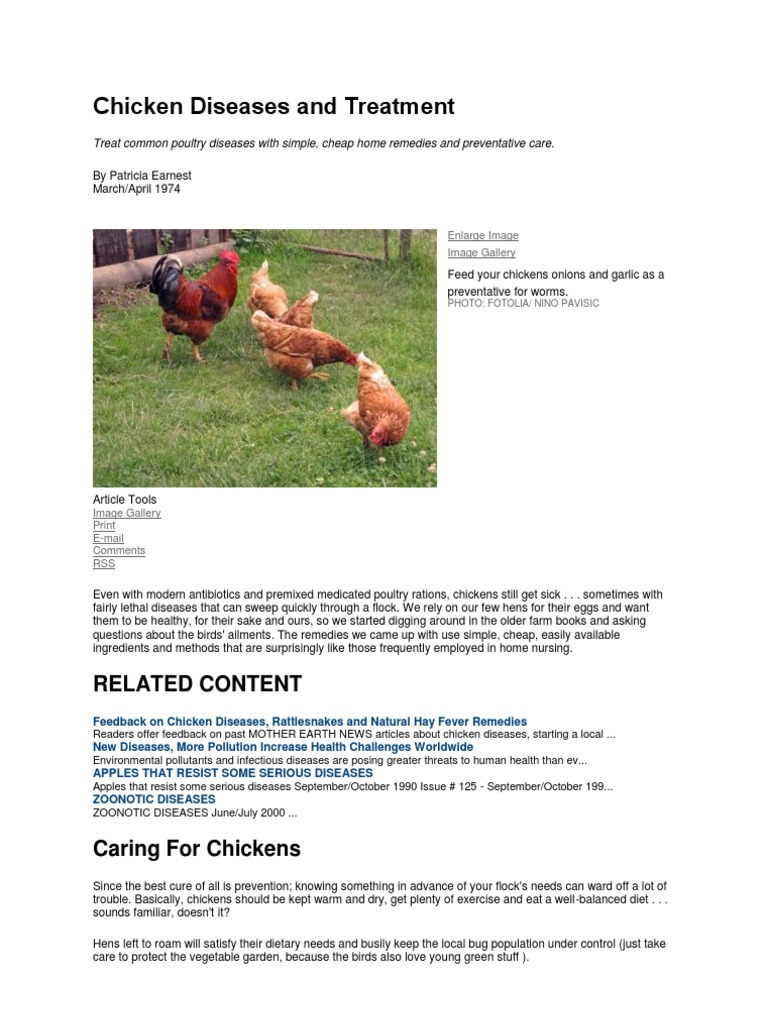 Chicken Diseases and Treatment | Infection | Medical