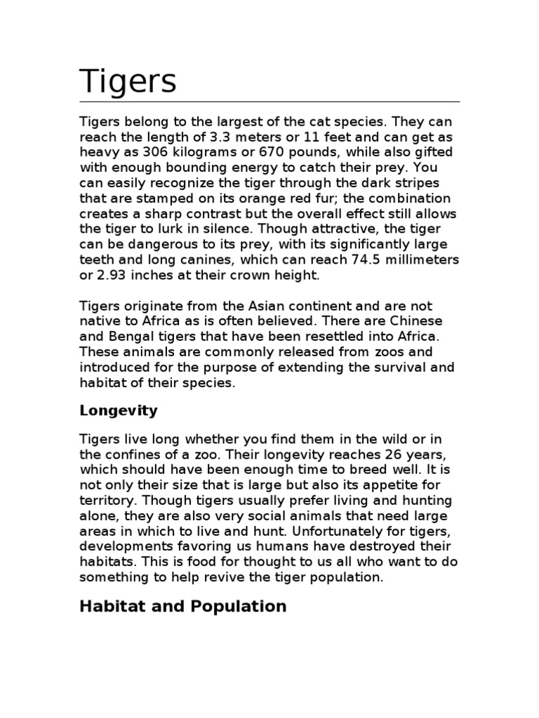 The Magnificent World of Tigers | PDF | Tiger | Fauna Of Asia