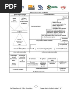 Micro, Matro y Macroambiente Fetal | PDF | El embarazo | Embarazo Mamífero