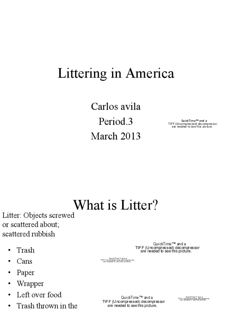 Littering | PDF