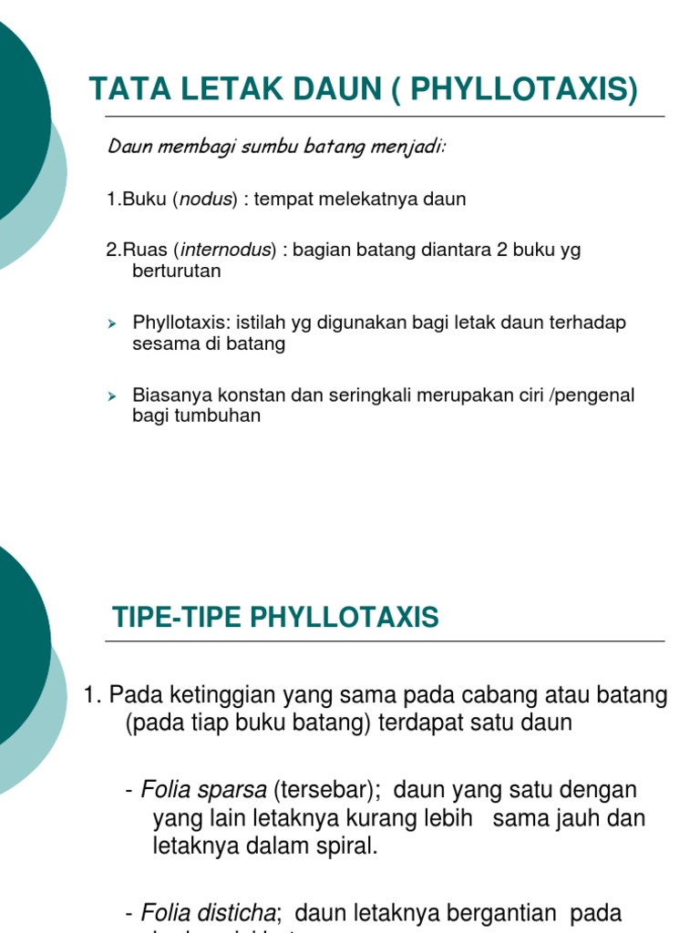 Phylotaxis | PDF | Griya & Taman