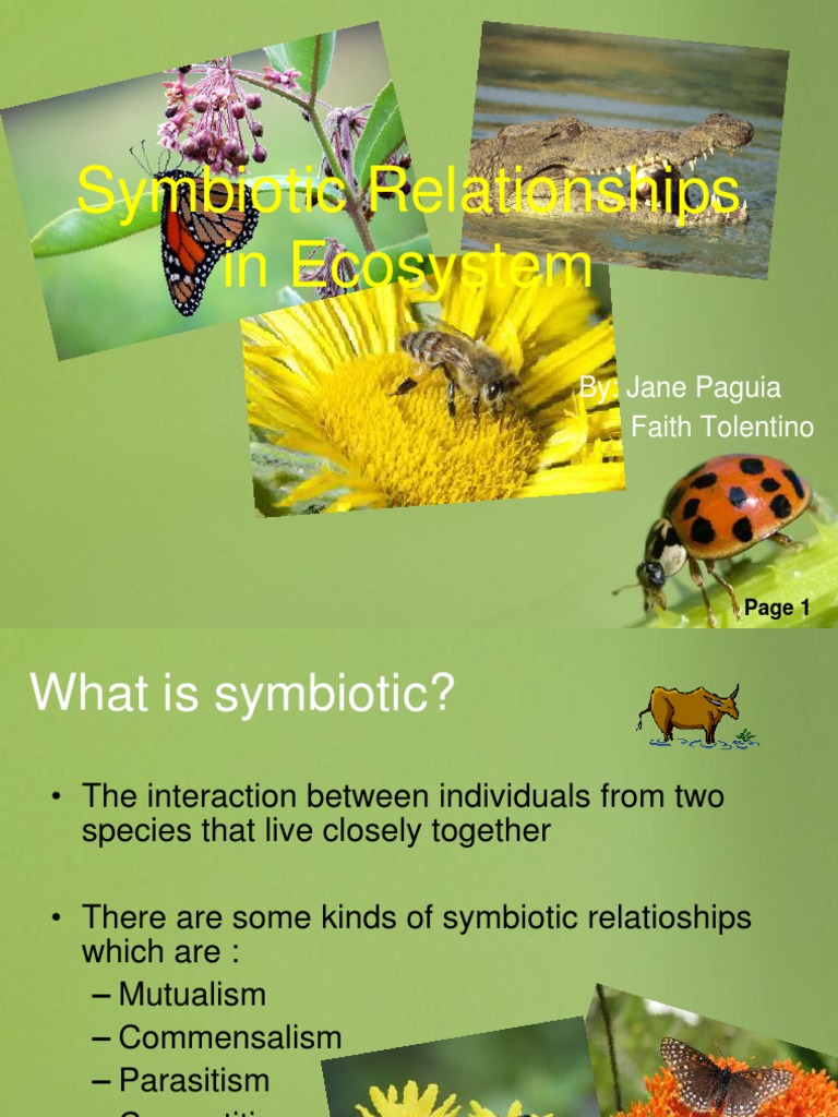 Symbiotic Relationships (Final) 1 | PDF | Symbiosis | Predation