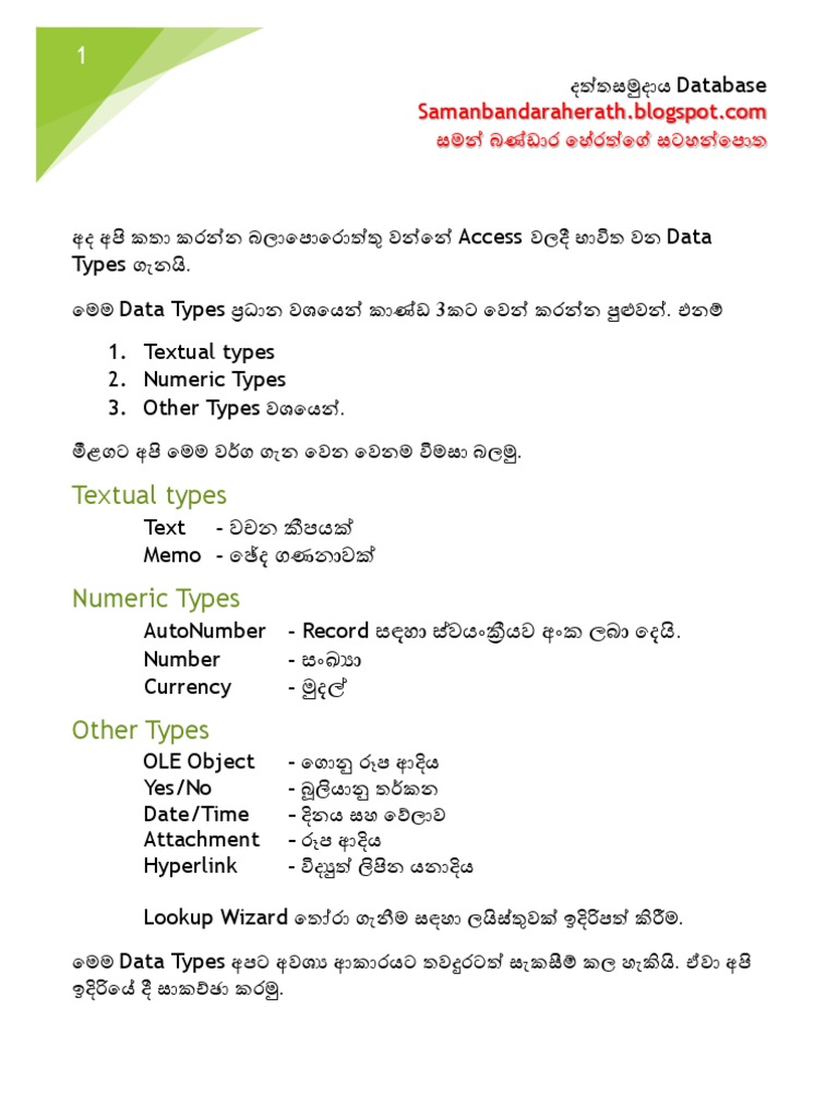 Access Data Types | PDF