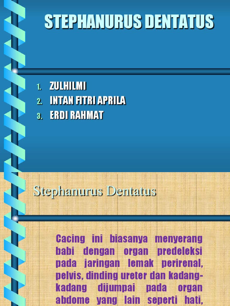 Stephanurus Dentatus | PDF