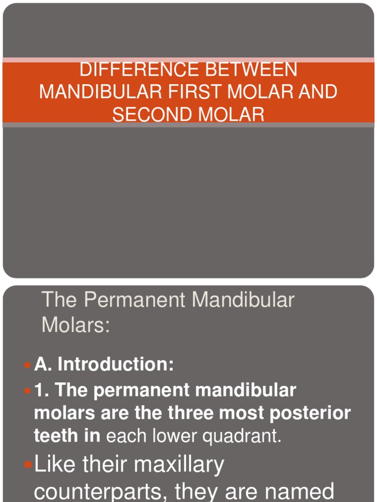Difference Between Mandibular First Molar and Second Molar | PDF ...