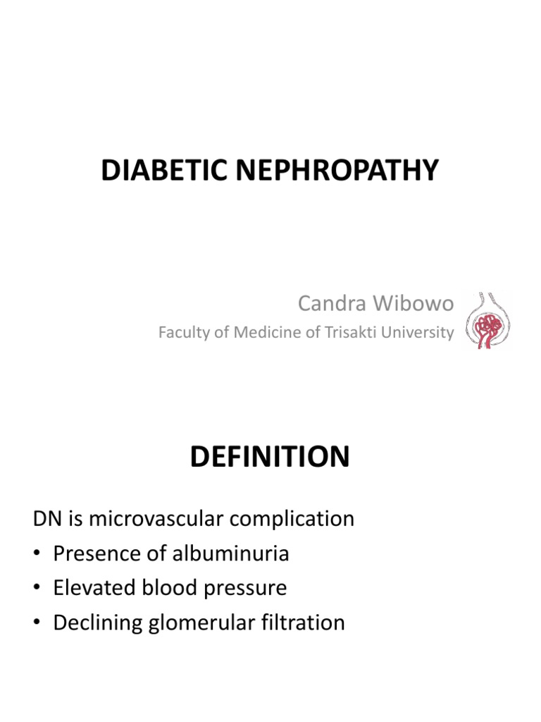 Diabetic Nephropathy Overview | PDF