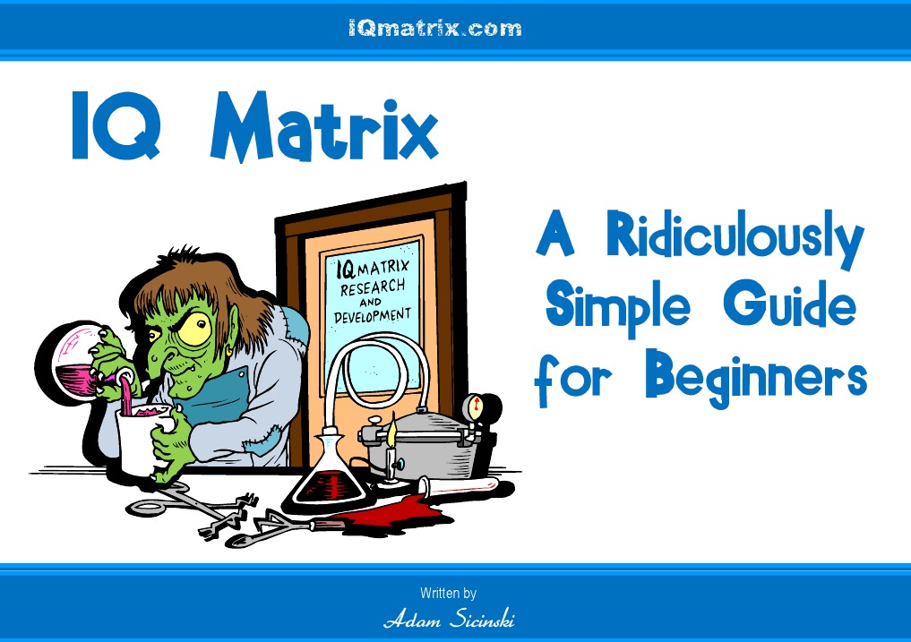 IQmatrix Guide For Beginners | PDF | Recall (Memory) | Memory