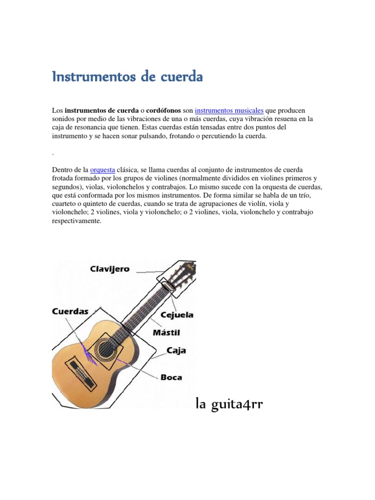 Instrumentos de Cuerda: Una Guía | PDF