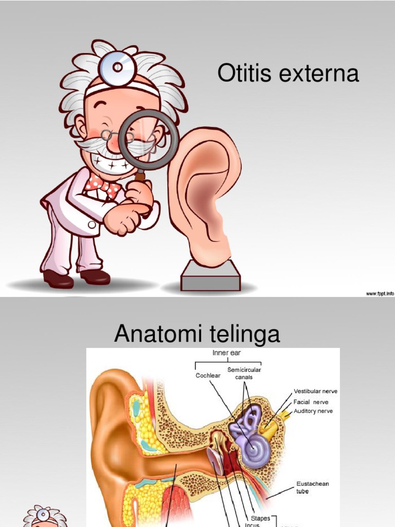 Otitis Eksterna | PDF