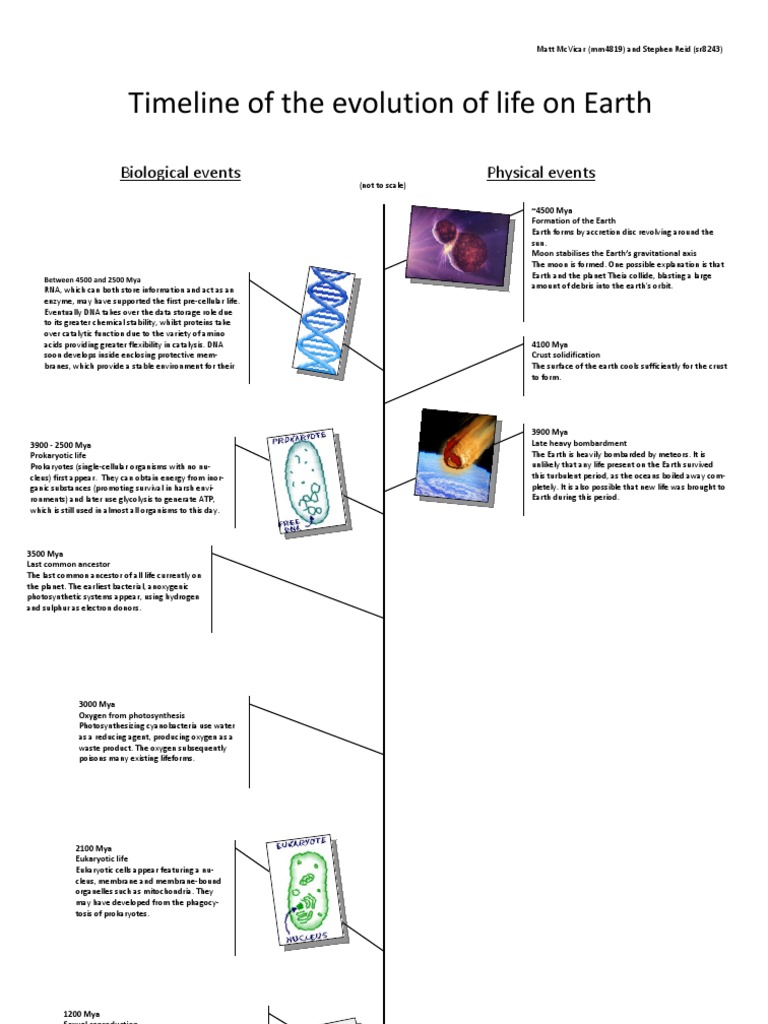 Timeline of The Evolution of Life On Earth | PDF | Life | Cell (Biology)
