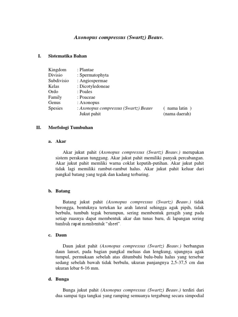 Morfologi dan Klasifikasi Jukut Pahit | PDF | Griya & Taman