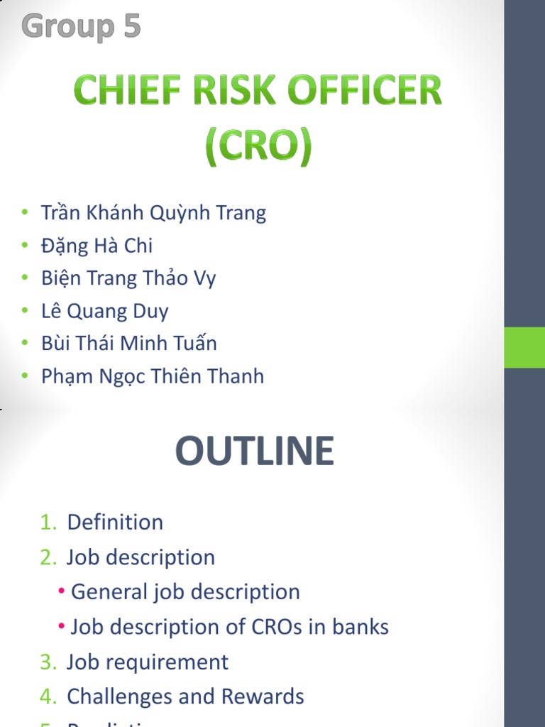 CRO | PDF | Operational Risk | Banks