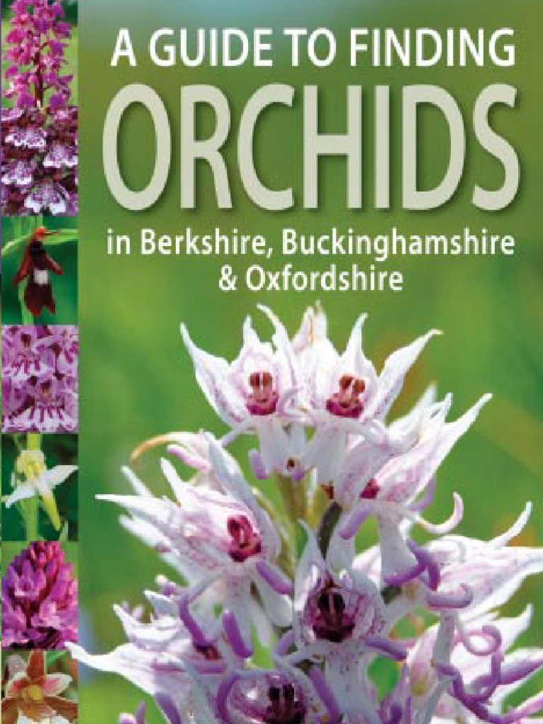 A Guide To Finding Orchids | PDF | Orchidaceae | Gardening