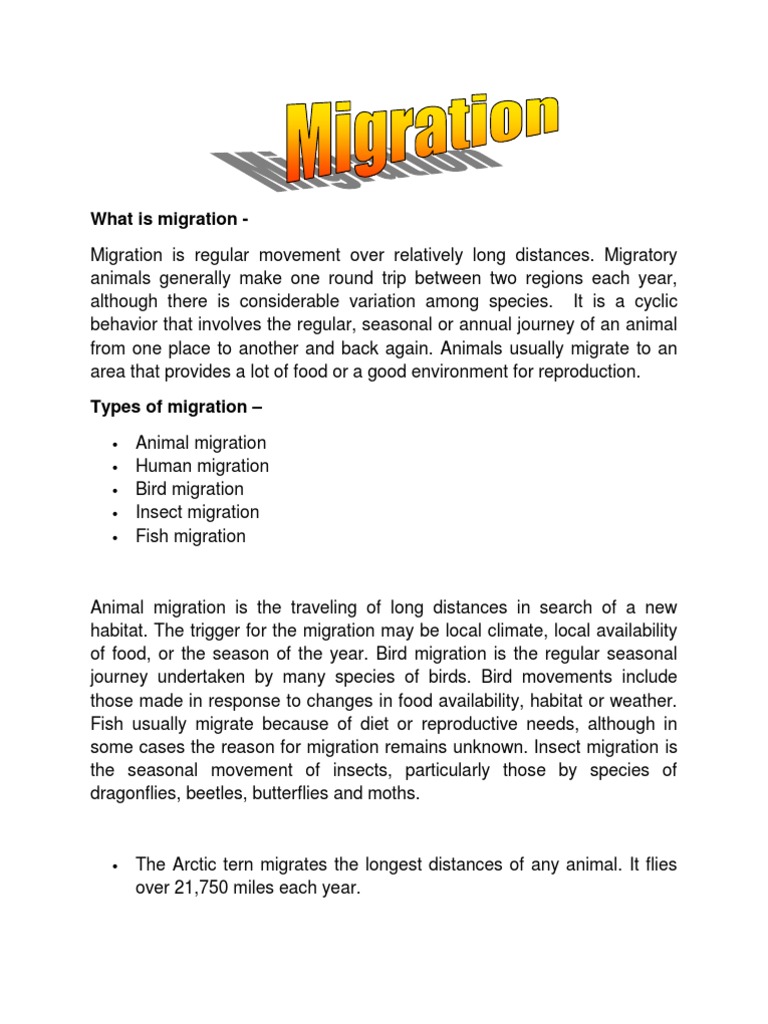 Migration | PDF | Bird Migration | Birds