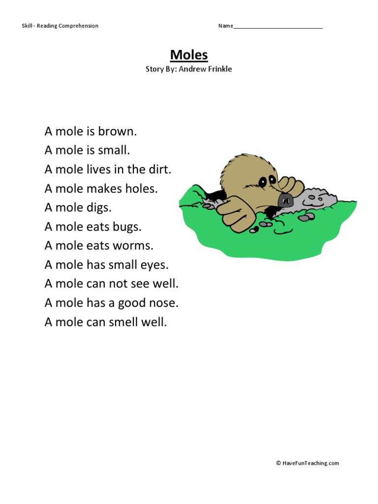 Mole Reading Comprehension for Grade 1 | PDF | Language Arts & Discipline