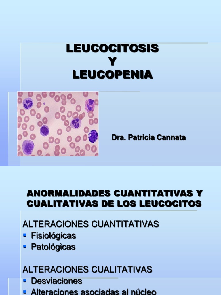 Leucocitosis y Leucopenia | Leucocito | Leucemia