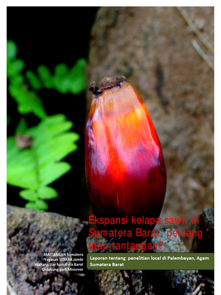 Palembayan Riset Indonesia Edited | PDF