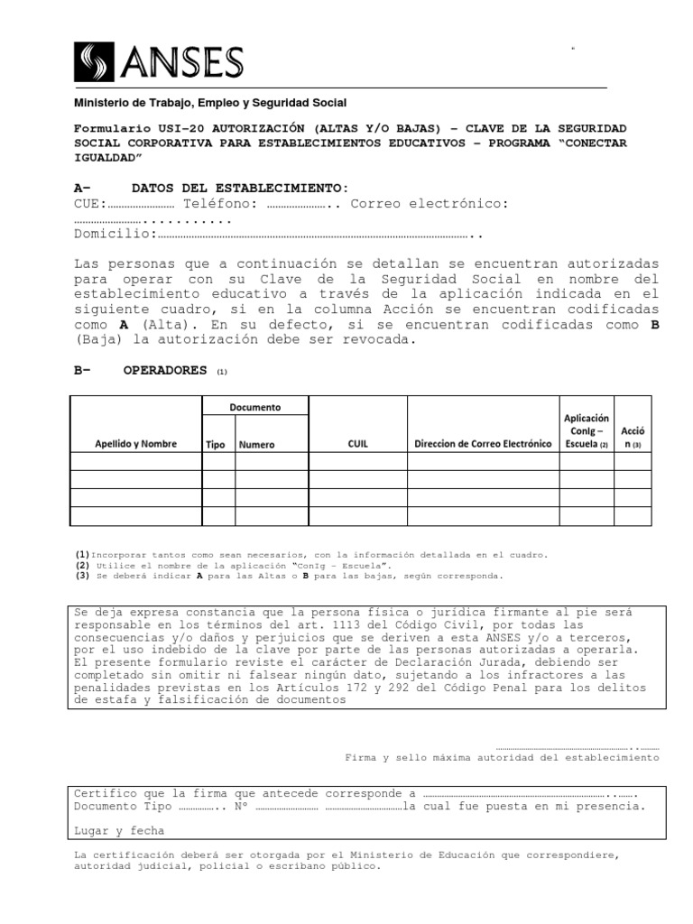 Formulario USI-20 Conectar Igualdad | PDF | Derecho