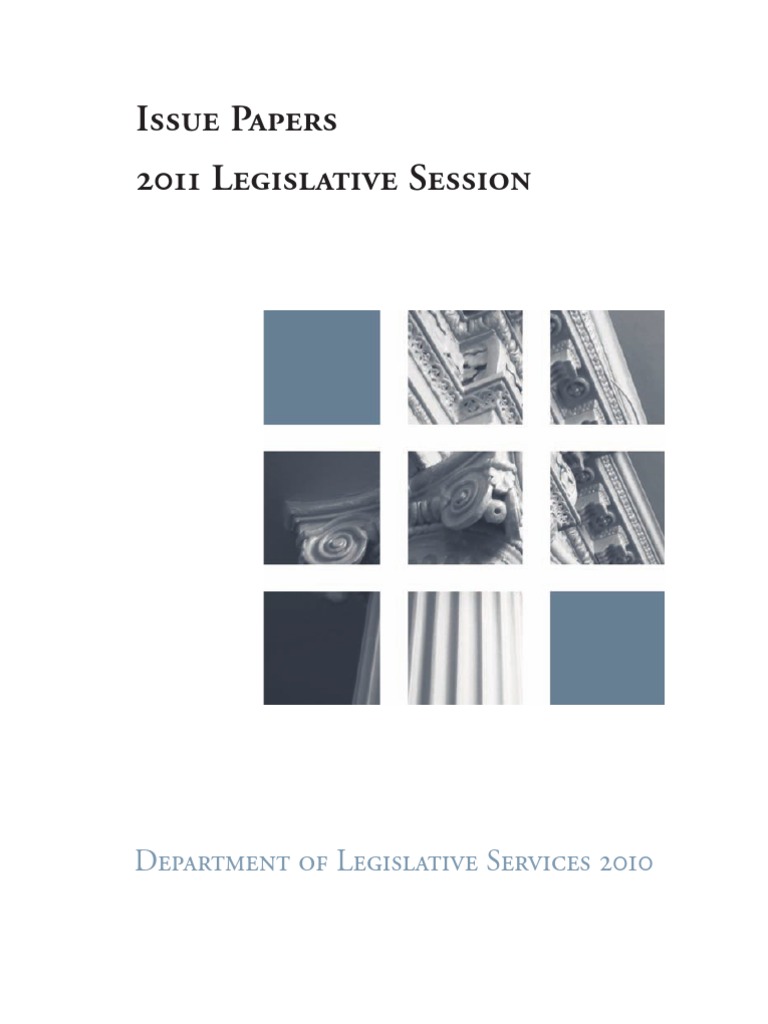 2011 DLS Issue Papers | PDF | American Recovery And Reinvestment Act Of ...